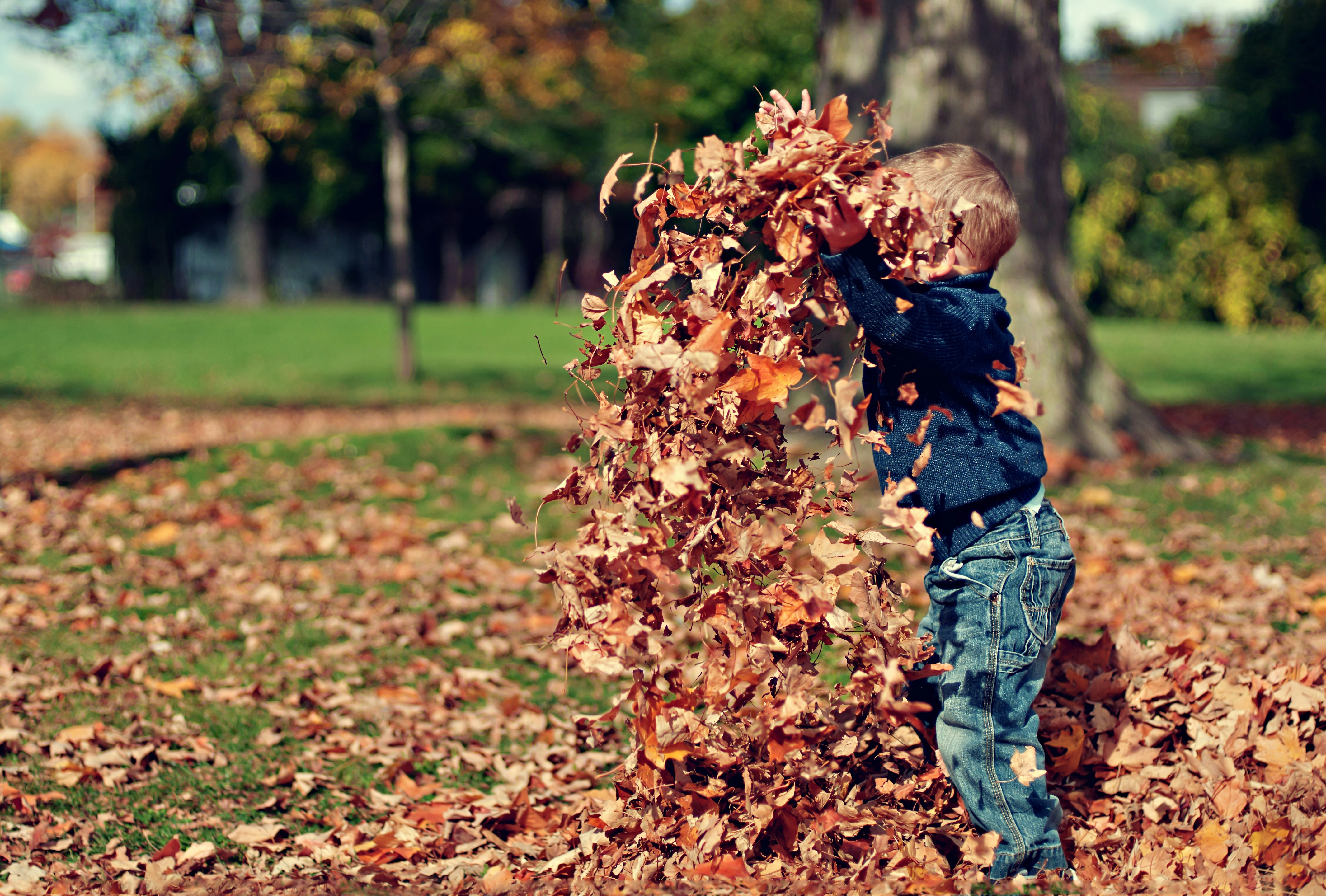 Fall Activities in Denver, CO | Gone For Good Store®